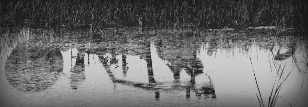 Push Incorporated - Whatever the job, we'll get it done right!